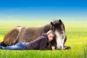 Freiarbeit mit dem Pferd: Erste Schritte und Übungen – Calm Horse Academy